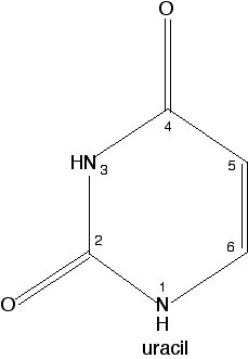 Biology 403, Spring 2004: Key for Final